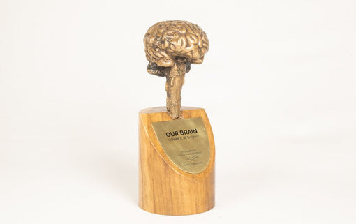 Buy Human Brain Sculpture In Bronze Online Indic Inspirations